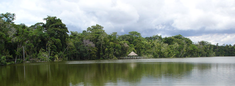 Iquitos - Conoce esta hermosa parte de la selva